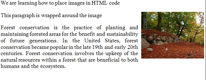 HTML-Working with Images | HTML tutorial by Wideskills